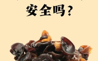 黑木耳怎么泡发_黑木耳泡多久才安全