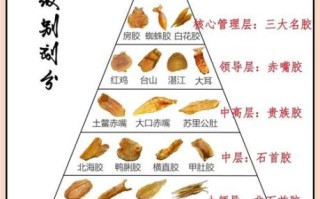 鱼胶粉和水比例是多少_如何调配不结块