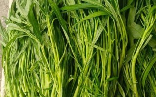 空心菜降血压吗_空心菜什么人不能吃