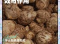 芋头能减肥吗_芋头减肥的正确吃法