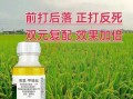 甜菜夜蛾防治方法_甜菜夜蛾用什么药最有效