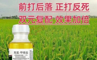 甜菜夜蛾防治方法_甜菜夜蛾用什么药最有效