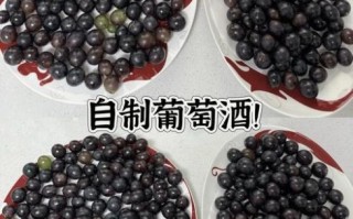 野葡萄酒的制作方法_家庭自酿野葡萄酒步骤