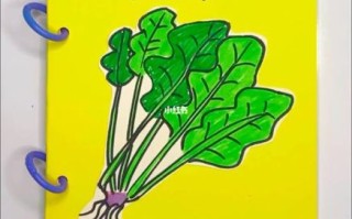 菠菜简笔画怎么画_菠菜简笔画步骤图
