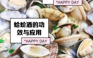 蛤蚧酒的功效与作用_蛤蚧酒适合什么人喝