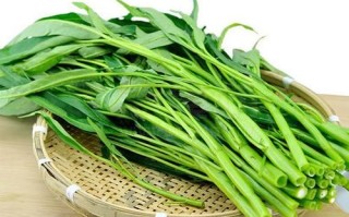 空心菜图片大全大图真实_空心菜怎么挑选最新鲜