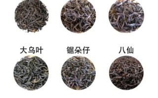 凤凰单丛茶的功效与作用_凤凰单丛茶适合什么人喝