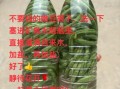酸豆角怎么制作_自制酸豆角的做法