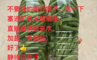 酸豆角怎么制作_自制酸豆角的做法
