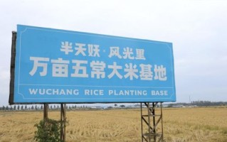 中国十大大米品牌排行榜_哪个牌子最好吃