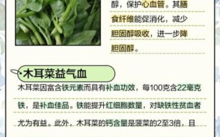 木耳菜副作用有哪些_什么人不能吃