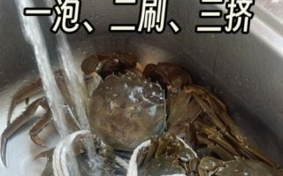 螃蟹怎么洗才干净_活蟹清洗步骤