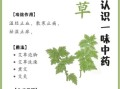 艾草可以做什么_艾草怎么用效果最好