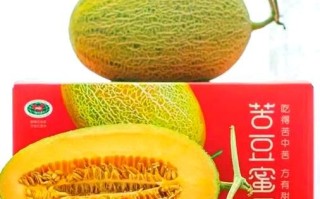 全国十大哈密瓜排名_哪里产的最好吃