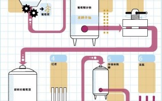葡萄酒怎么酿制_葡萄酒酿制全过程