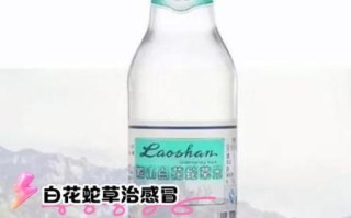 经常喝白花蛇草水有什么好处_白花蛇草水能天天喝吗