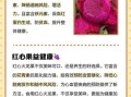 红心火龙果的功效与作用及禁忌_哪些人不能吃