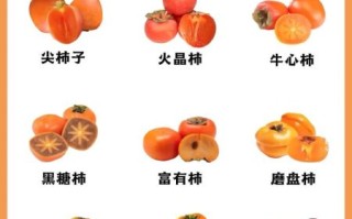 柿子有什么功效与作用_吃柿子会上火吗