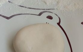 茄子馅饺子怎么做_茄子馅饺子需要焯水吗