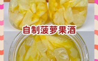 梨子果汁怎么搭配好喝_梨子果汁做法大全