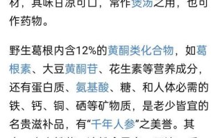 葛根粉的功效与作用_葛根粉怎么吃效果最好