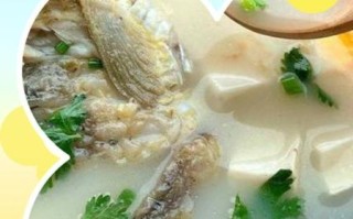 产妇鲫鱼汤的做法下奶_鲫鱼汤下奶效果好吗