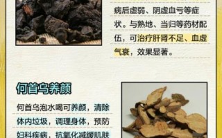 生何首乌泡水喝的功效_生何首乌泡水多久见效