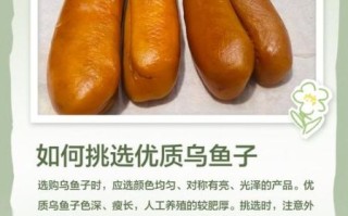 乌鱼子是什么梗_乌鱼子网络用语含义