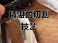 鱼生怎么切_鱼生做法视频教程