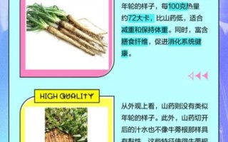 牛蒡是山药吗_牛蒡和山药的区别