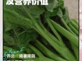 芥兰笋的功效与作用_芥兰笋怎么吃最营养