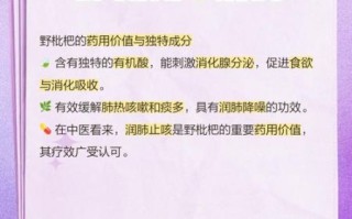 野枇杷果能吃吗_野枇杷果的功效与作用 野枇杷果能吃吗_野枇杷果的功效与作用