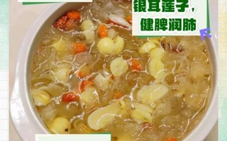 白木耳莲子汤的功效与作用_白木耳莲子汤适合什么人喝