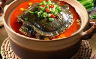 麻辣甲鱼怎么做_家常麻辣甲鱼的做法