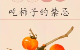 树柿子功效与禁忌_哪些人不能吃
