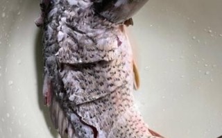 番茄酱脆皮鱼怎么做_番茄酱脆皮鱼家常做法