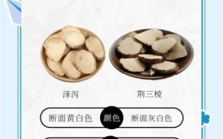 泽泻图片的功效与作用_泽泻泡水喝的正确方法