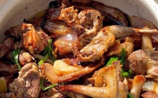 红烧鸽子肉怎么做好吃_红烧鸽子肉的家常做法