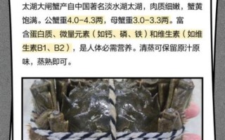 太湖大闸蟹什么时候最肥_怎么挑选正宗太湖蟹