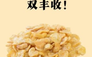 干蚕豆泡多久可以煮着吃_干蚕豆要泡多久才软