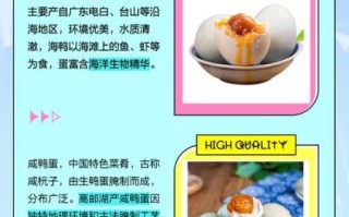 海鸭蛋和普通鸭蛋的区别_海鸭蛋营养价值高吗