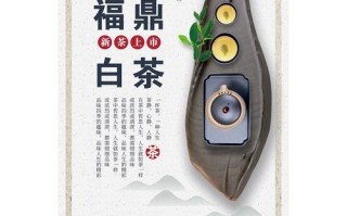 福鼎老白茶怎么保存_福鼎老白茶功效与作用