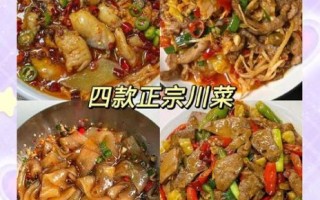 川菜家常菜怎么做_川菜菜谱视频教学
