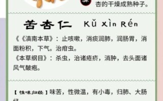 杏仁怎么脱毒_苦杏仁脱毒方法