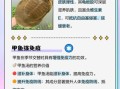 甲鱼有什么营养价值_甲鱼的功效与作用