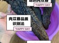 肉苁蓉有什么作用_肉苁蓉怎么吃效果最好