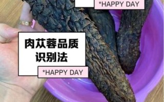 肉苁蓉有什么作用_肉苁蓉怎么吃效果最好