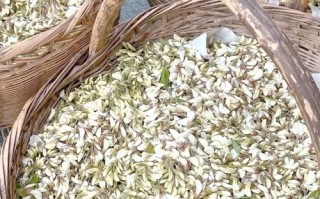 洋槐花怎么吃最好_洋槐花做法大全