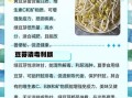 豆芽菜的功效与作用_吃豆芽菜能减肥吗