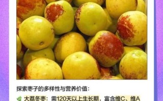 枣子几月份成熟_新鲜枣子上市时间